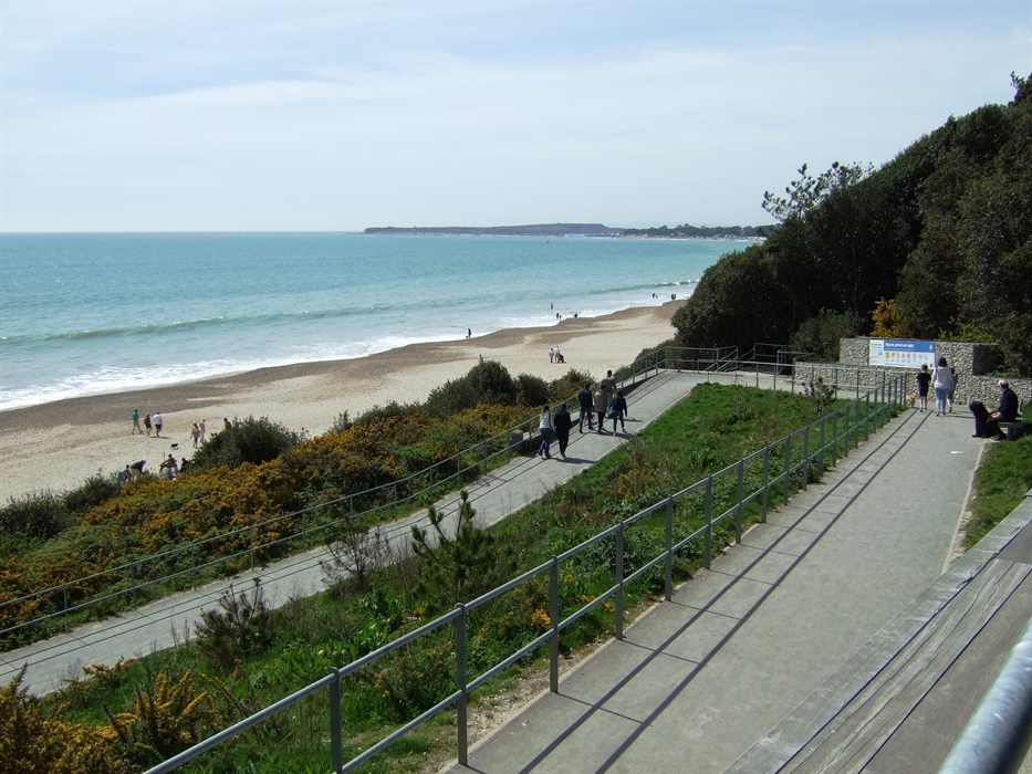 Is Highcliffe Beach Dog Friendly